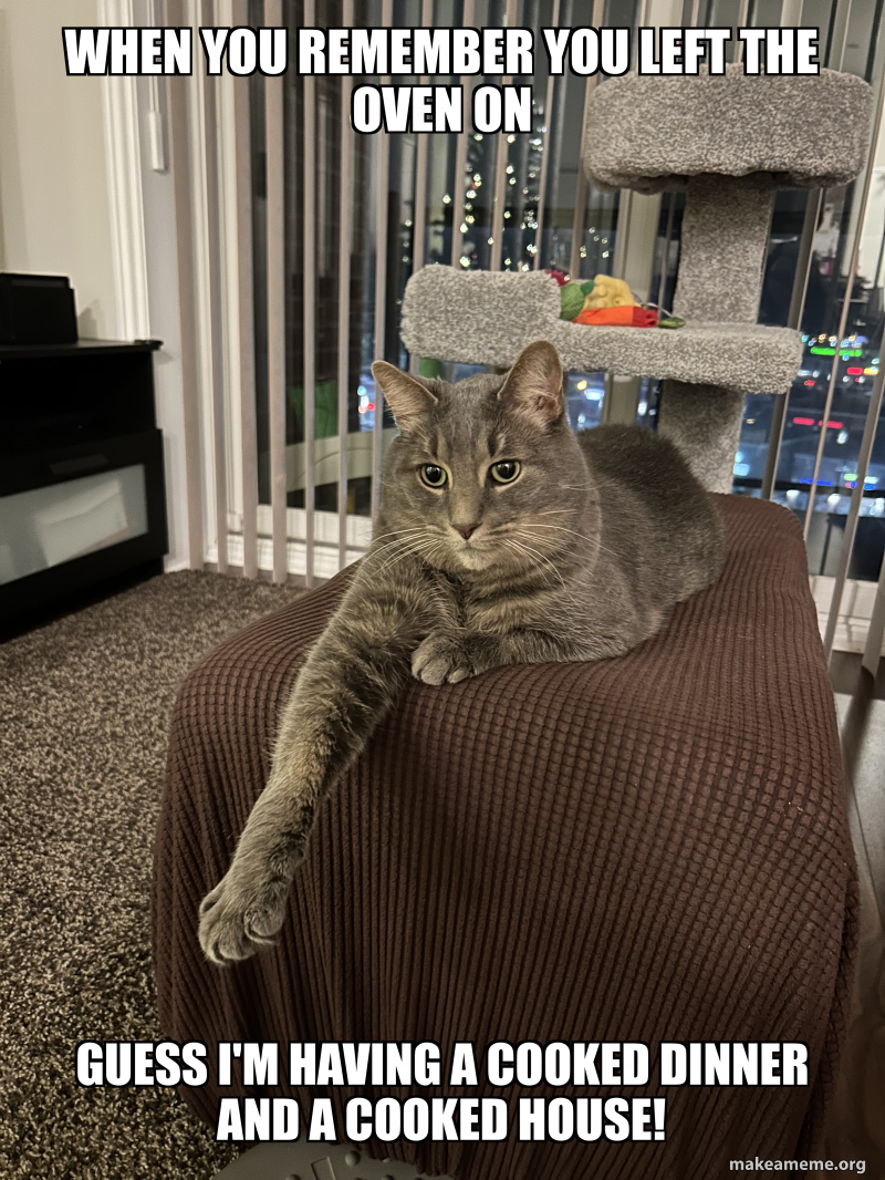 When you remember you left the oven on Guess I'm having a cooked dinner ...