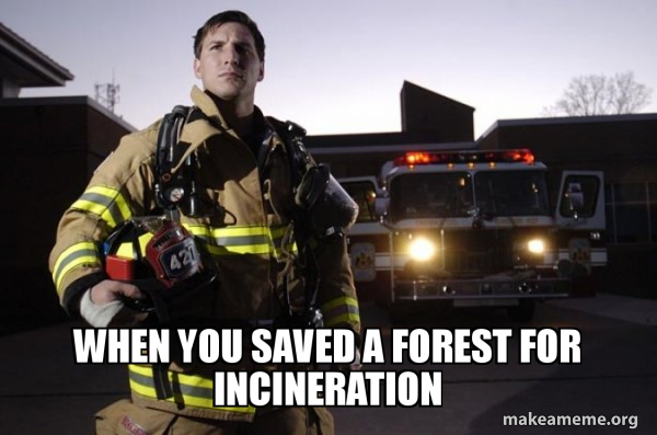 when you saved a forest for incineration - Good Guy Fire Fighter | Make ...
