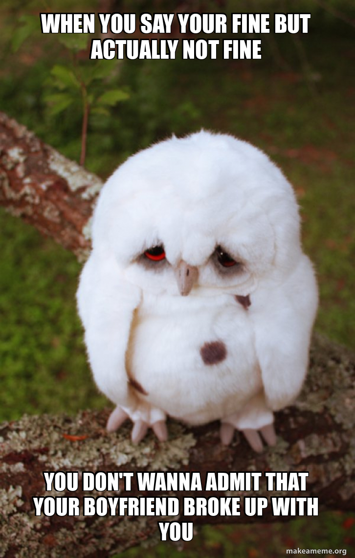 when you say your fine but actually not fine you don't wanna admit that ...