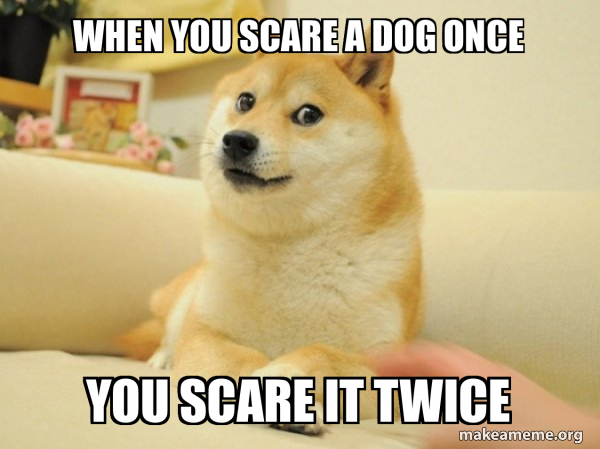 When you scare a dog once You scare it twice - Doge Meme Generator