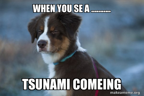 when you se a ........... tsunami comeing - Unsure Dog Meme Generator