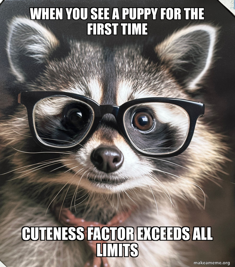 When you see a puppy for the first time Cuteness factor exceeds all limits Meme Generator