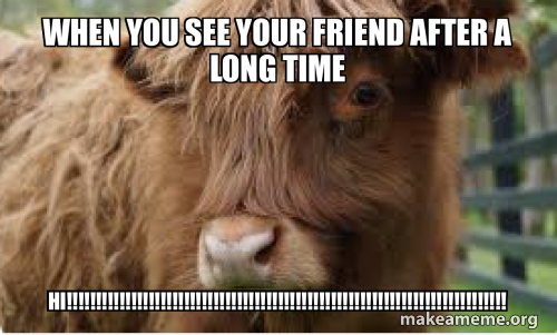 When you see your friend after a long time HI