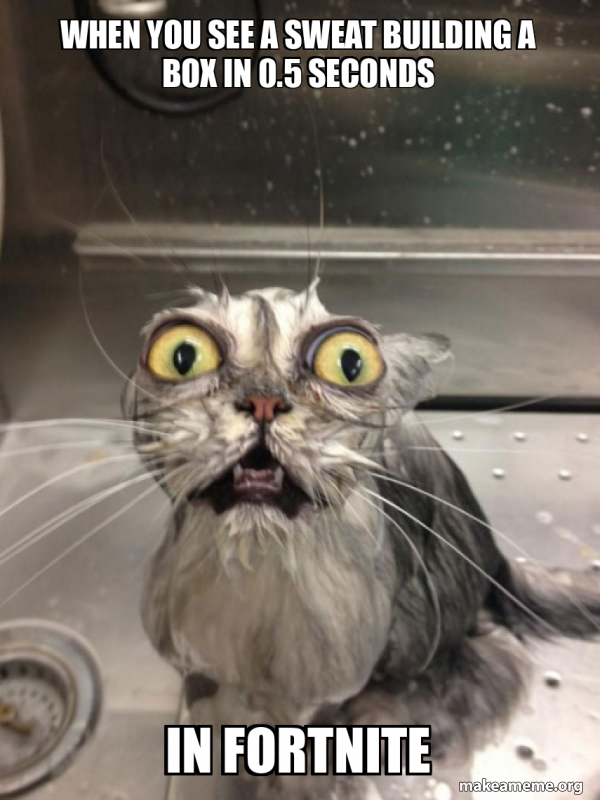 When you see a sweat building a box in 0.5 seconds In Fortnite - Cat ...