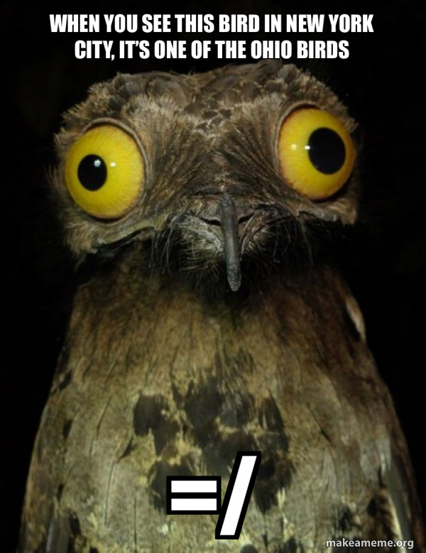 When you see this bird in New York City, it’s one of the Ohio birds ...