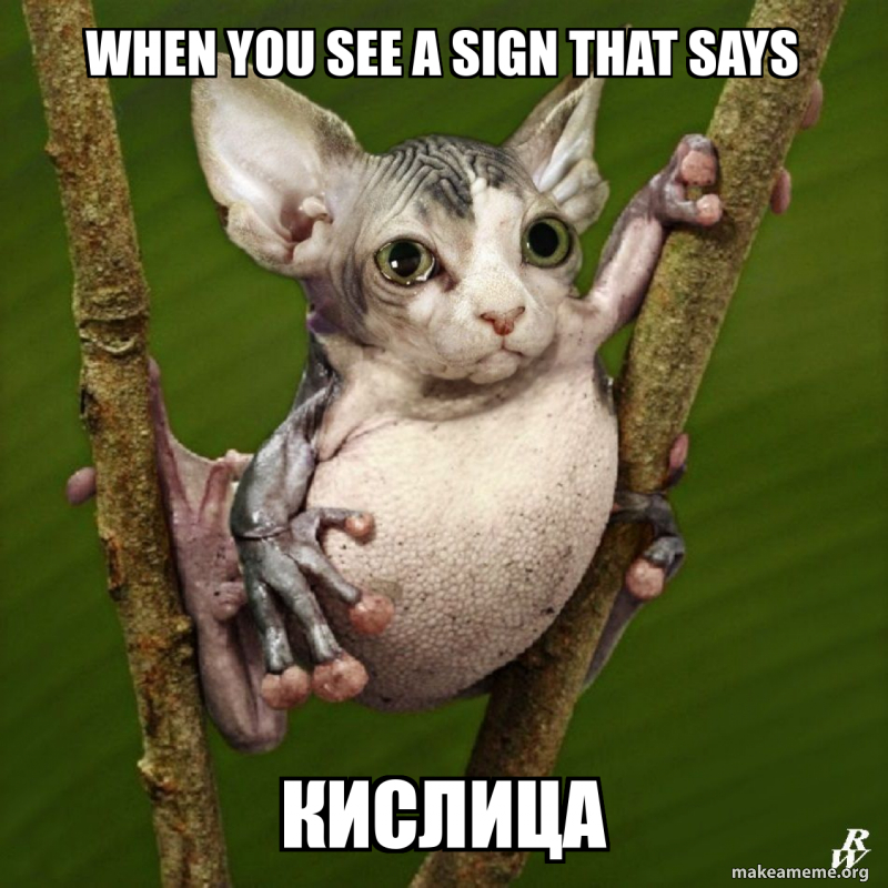 When you see a sign that says Кислица Meme Generator