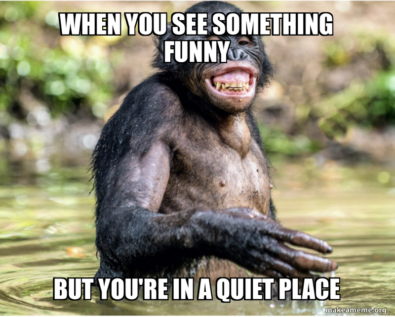 When you see something funny But you're in a quiet place Meme Generator