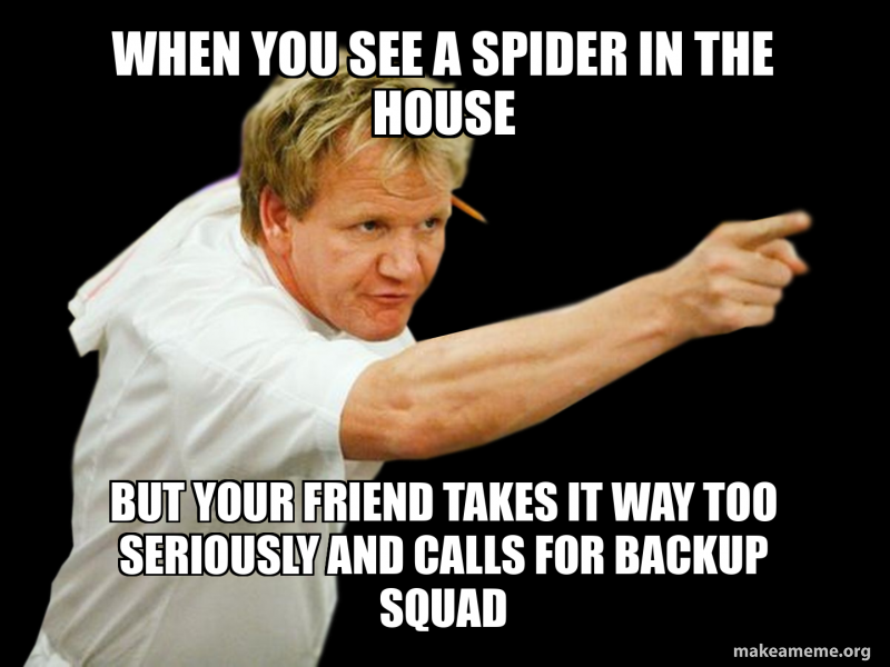 When you see a spider in the house But your friend takes it way too ...