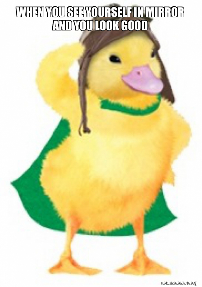 When you see Yourself in mirror and you loOk good Meme Generator