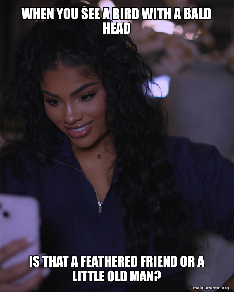 When you see a bird with a bald head Is that a feathered friend or a ...