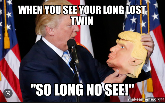 when you see your long lost twin "so long no see!" Meme Generator