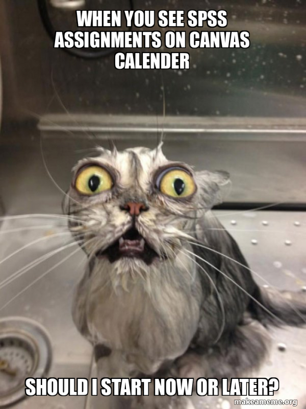 When you see SPSS assignments on Canvas calender Should I start now or ...