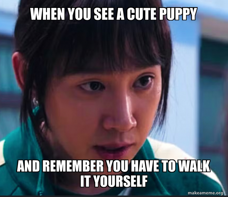 When you see a cute puppy And remember you have to walk it yourself ...