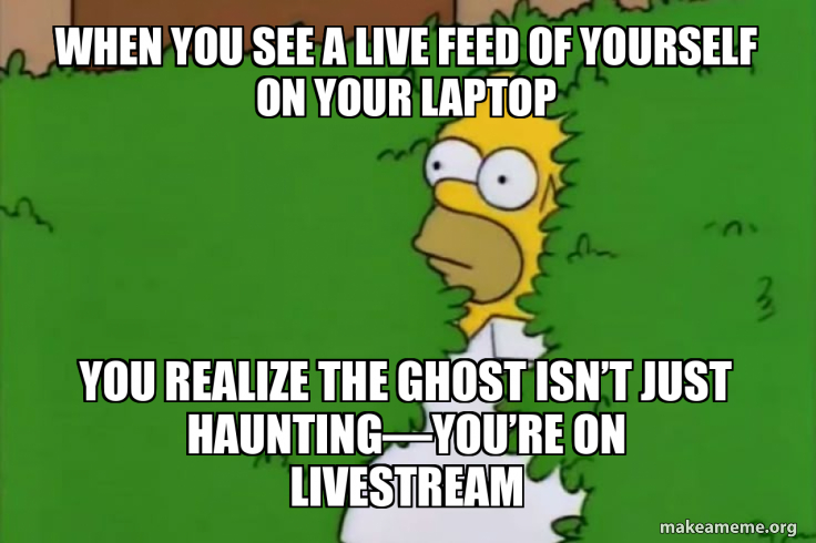 When you see a live feed of yourself on your laptop You realize the ...