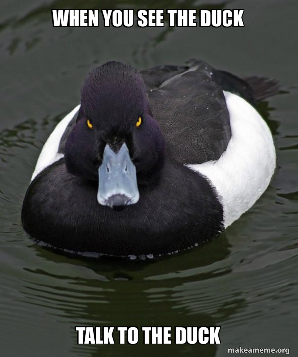 When you see the duck Talk to the duck - Revenge Duck ( Angry Advice ...