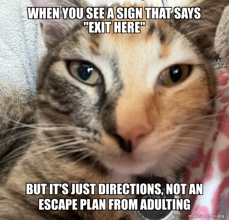 When you see a sign that says "Exit here" But it's just directions, not ...