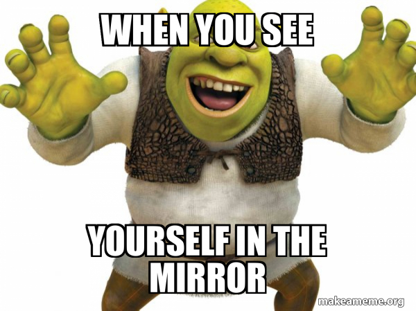 When you see Yourself in the mirror - Shrek Meme Generator