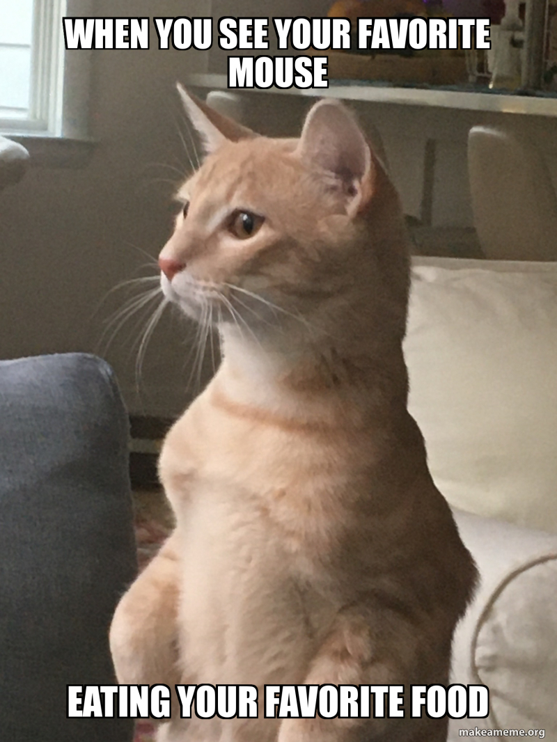 When you see your favorite mouse Eating your favorite food - Cat life ...