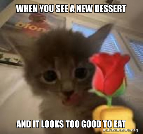 When you see a new dessert And it looks too good to eat Meme Generator