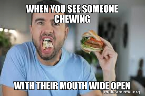 When you see someone chewing with their mouth wide open Meme Generator