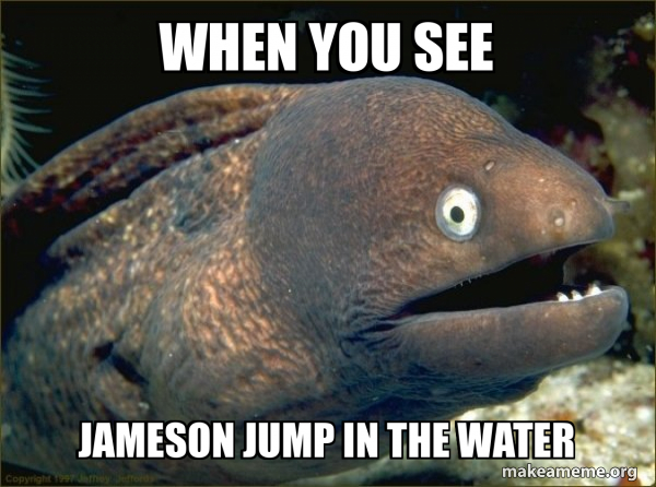when you see jameson jump in the water - Bad Joke Eel Meme Generator