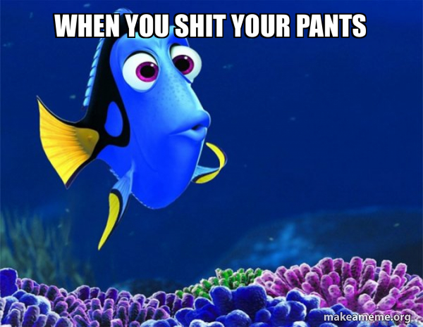 when you shit your pants - Dory from Nemo (5 second memory) Meme Generator