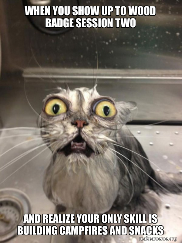 When you show up to Wood Badge session two And realize your only skill ...
