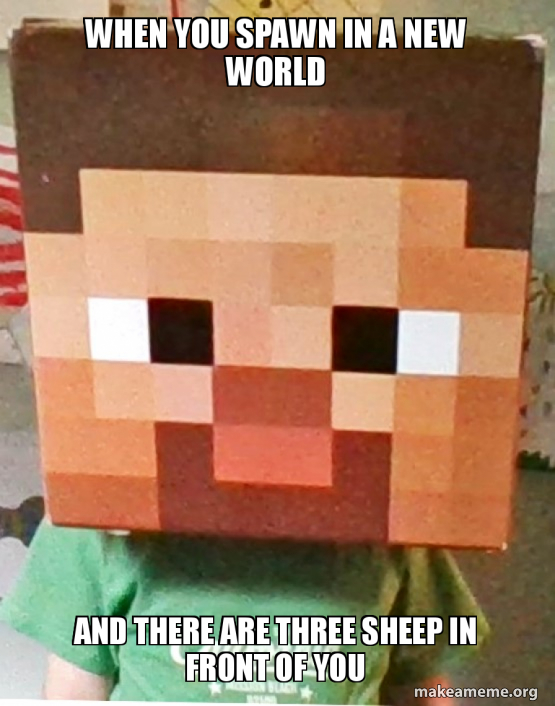 when you spawn in a new world and there are three sheep IN FRONT of you ...