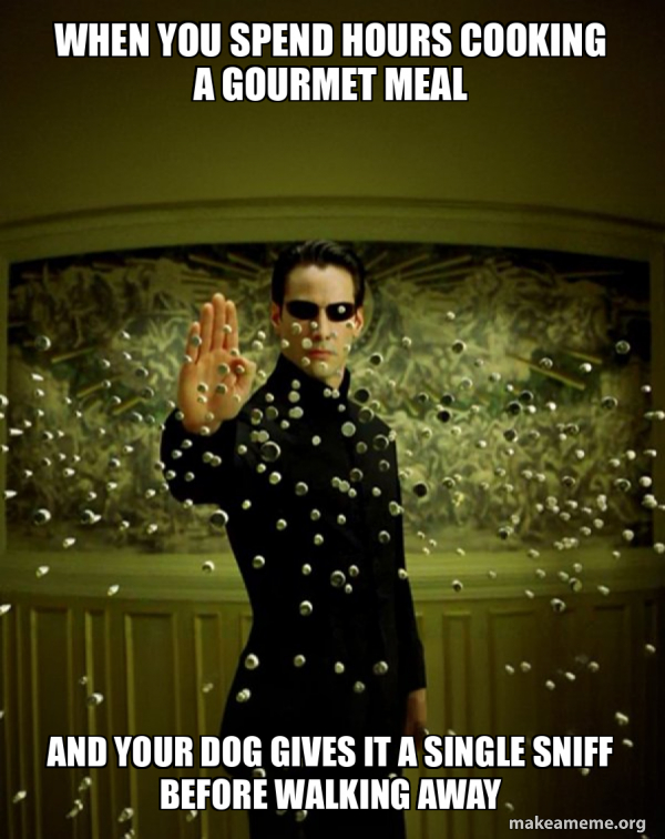 When you spend hours cooking a gourmet meal and your dog gives it a ...