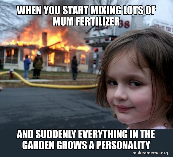 When you start mixing lots of Mum fertilizer And suddenly everything in ...