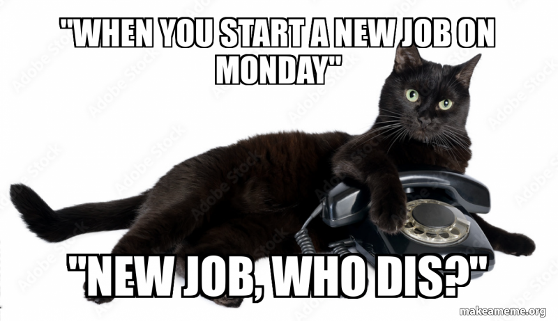 "When you start a new job on Monday" "NEW JOB, WHO DIS?" Meme Generator