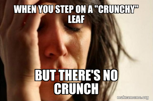 Crunchy Mama Memes Who Else Is Ready For Some Food?! 🏈🏈🏈