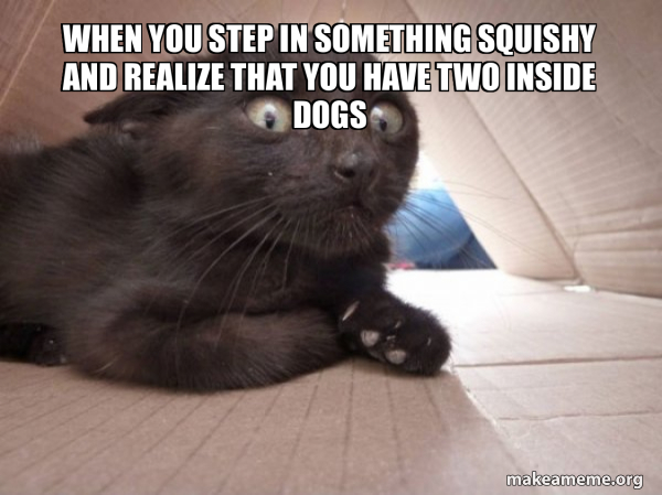 when you step in something squishy and realize that you have two inside ...
