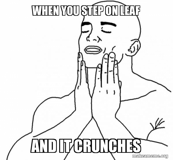when you step on leaf and it crunches - Feels Good Meme Generator