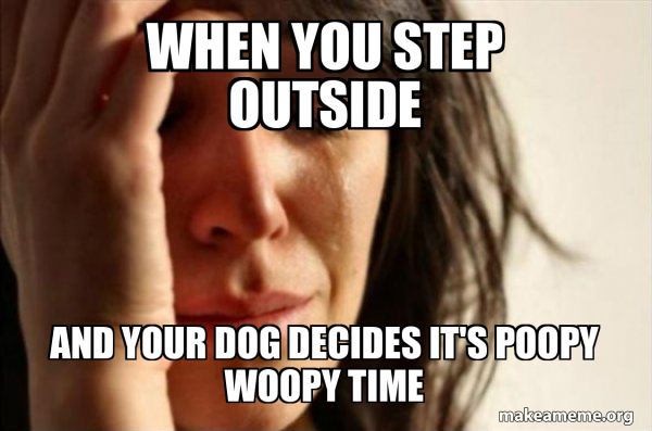 When you step outside And your dog decides it's poopy woopy time ...