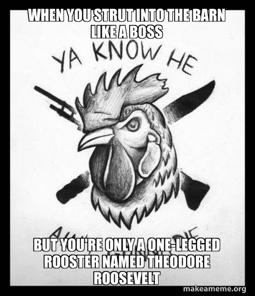 When you strut into the barn like a boss But you're only a one-legged ...