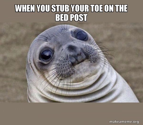 When you stub your toe on the bed post - Squeamish Seal Meme Generator