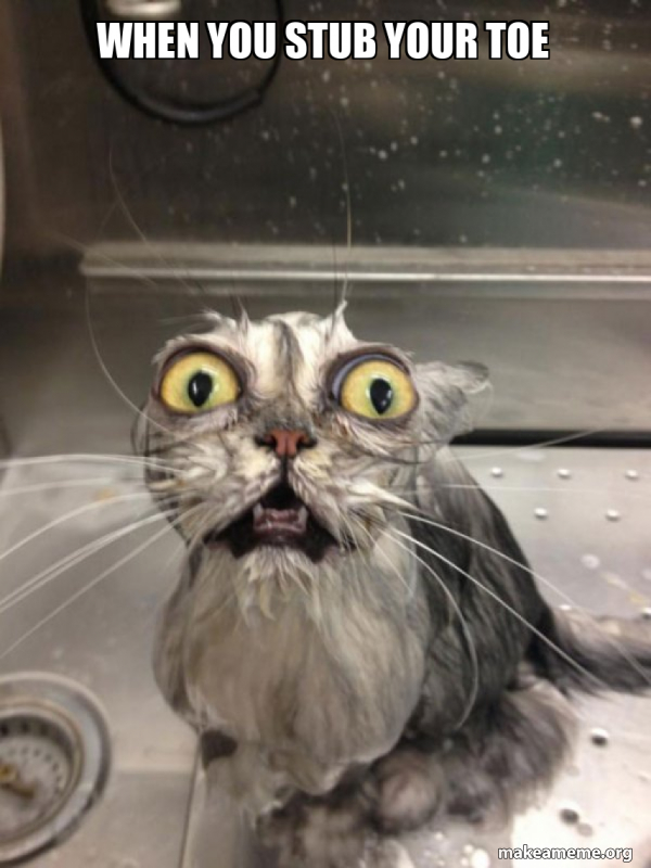 When you stub your toe - Cat bath Meme Generator