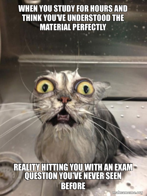 When you study for hours and think you've understood the material ...