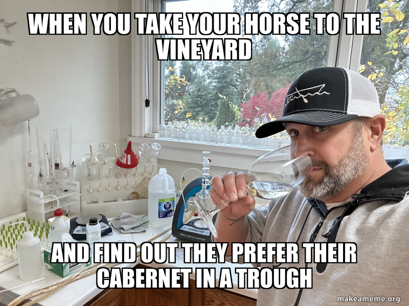When you take your horse to the vineyard And find out they prefer their ...