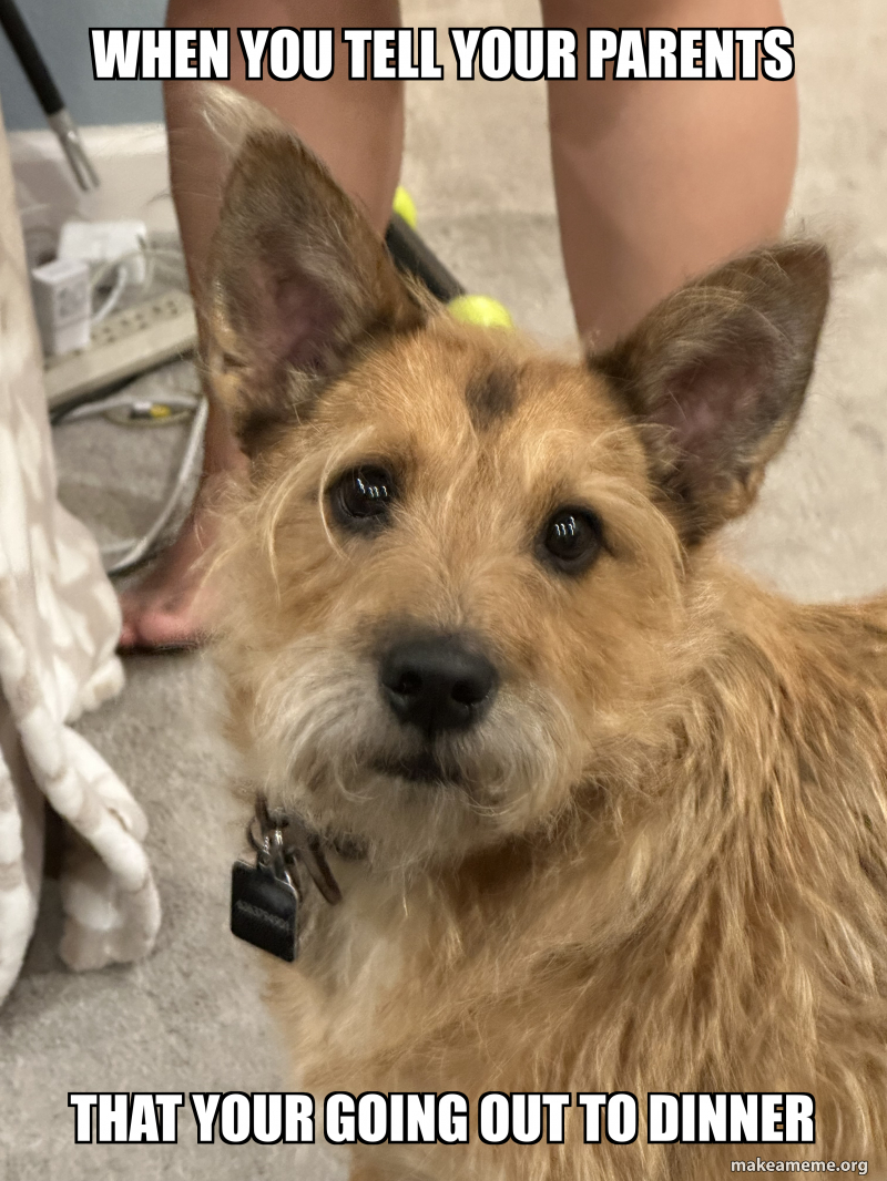 When you tell your parents That your going out to dinner Meme Generator