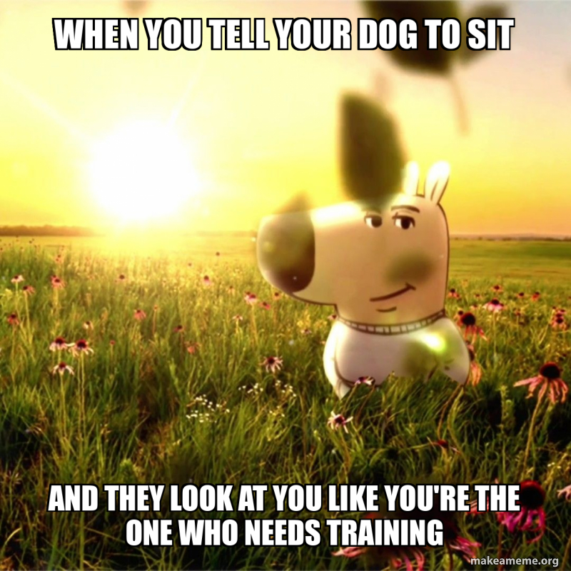 When you tell your dog to sit And they look at you like you're the one ...
