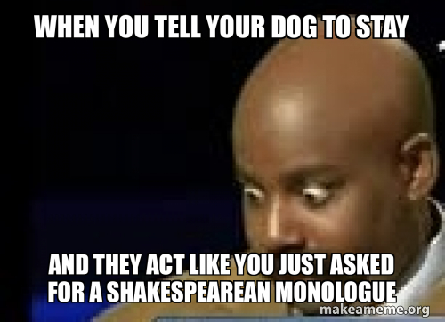 When you tell your dog to stay And they act like you just asked for a ...