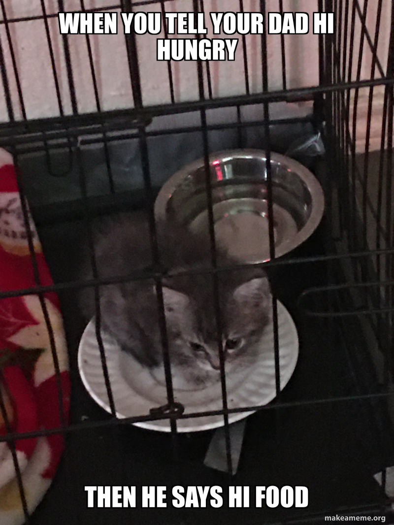 When you tell your dAd hi hungry Then he says hi food - Hungry Meme ...