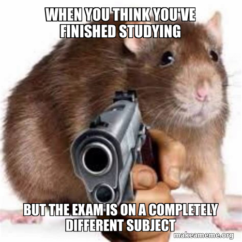 When you think you've finished studying But the exam is on a completely ...