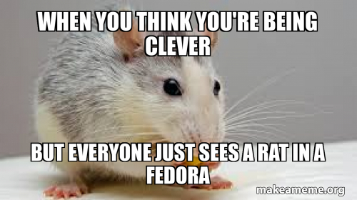 When you think you're being clever But everyone just sees a rat in a ...