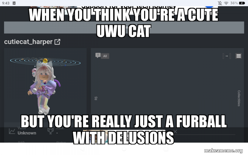 When you think you're a cute uwu cat But you're really just a furball ...