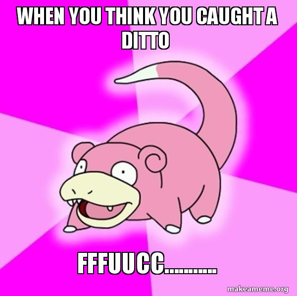Ditto Pokemon Memes