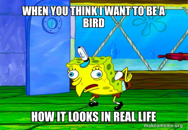 when you think i want to be a bird how it looks in real life - Mocking ...
