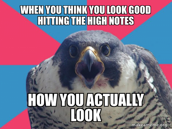When you think you look good hitting the high notes How you actually ...